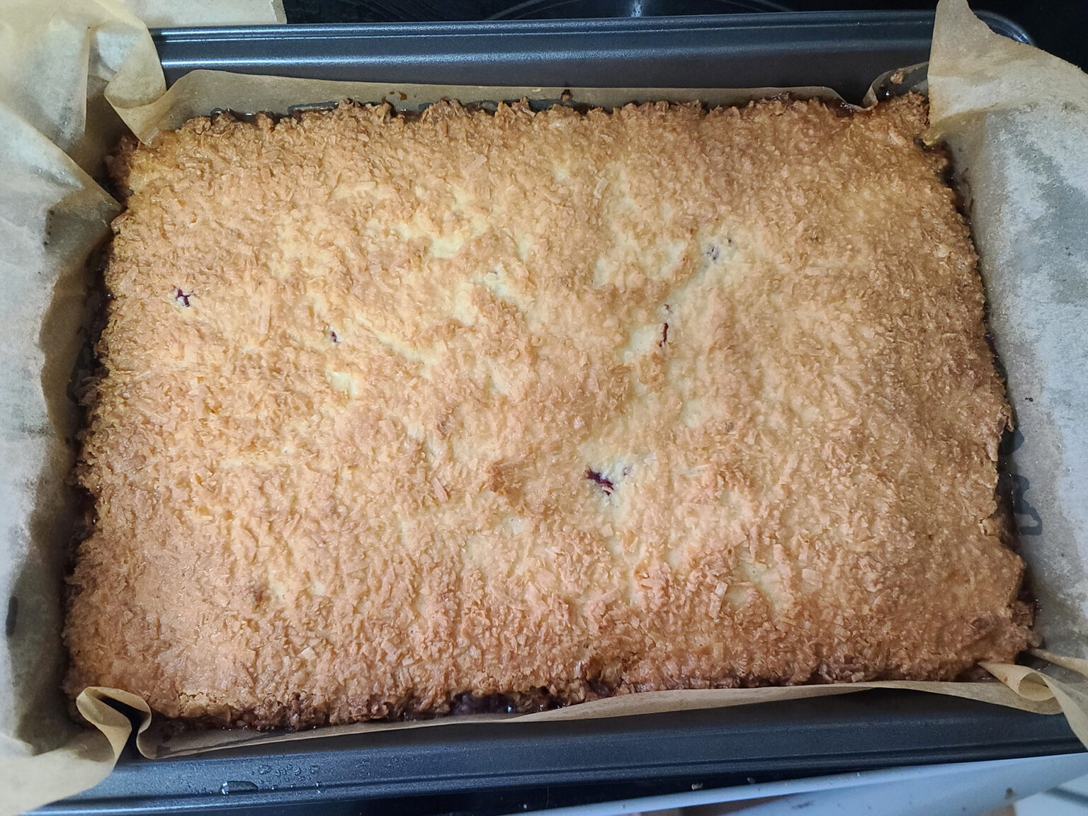 Gluten Free Raspberry Bars with Crunchy Coconut Topping - Beyond Flour